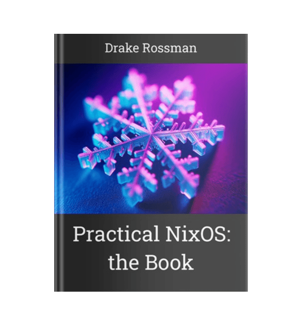 How to Dual Boot NixOS and Windows